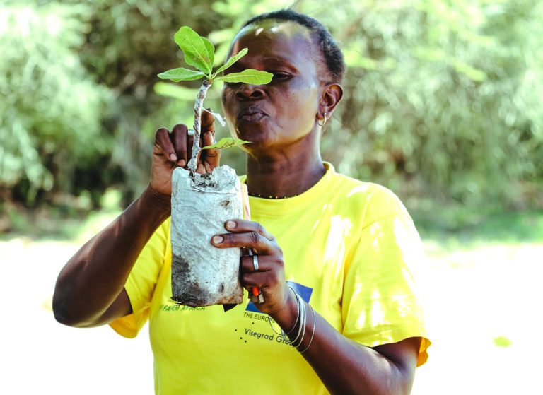 About Us – Centre for Population and Environmental Development